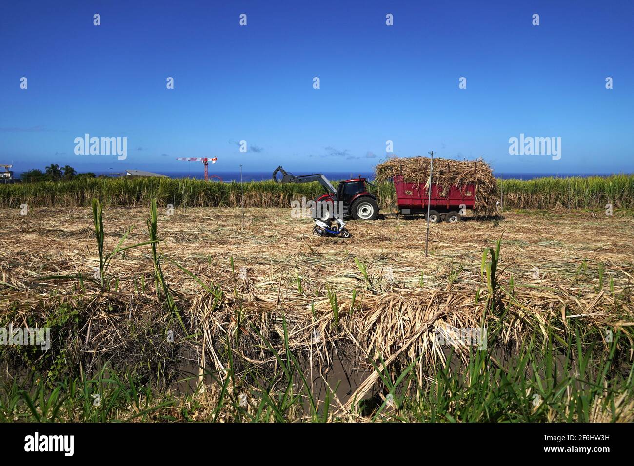 Sugar cane trailer hi-res stock photography and images - Alamy