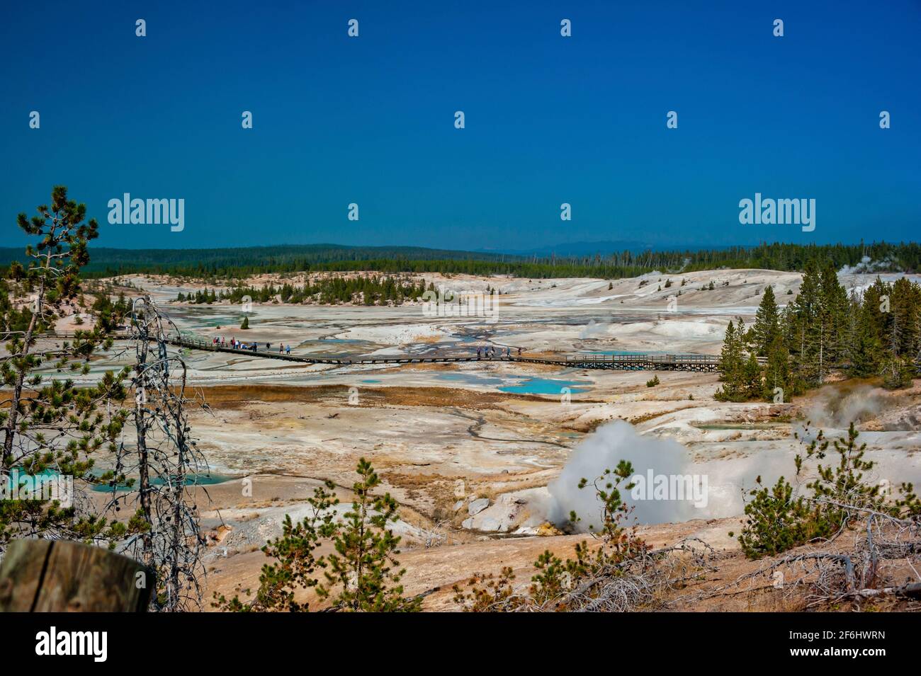 Geyser hot springs hi-res stock photography and images - Alamy