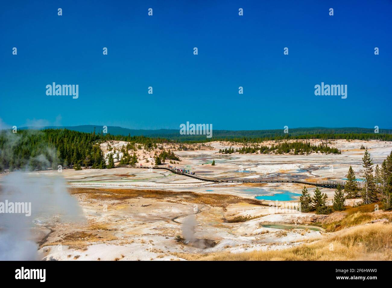 Acid pools yellowstone hi-res stock photography and images - Alamy