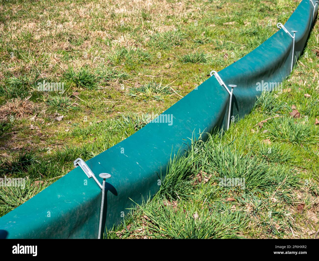 Toad fence hi-res stock photography and images - Alamy