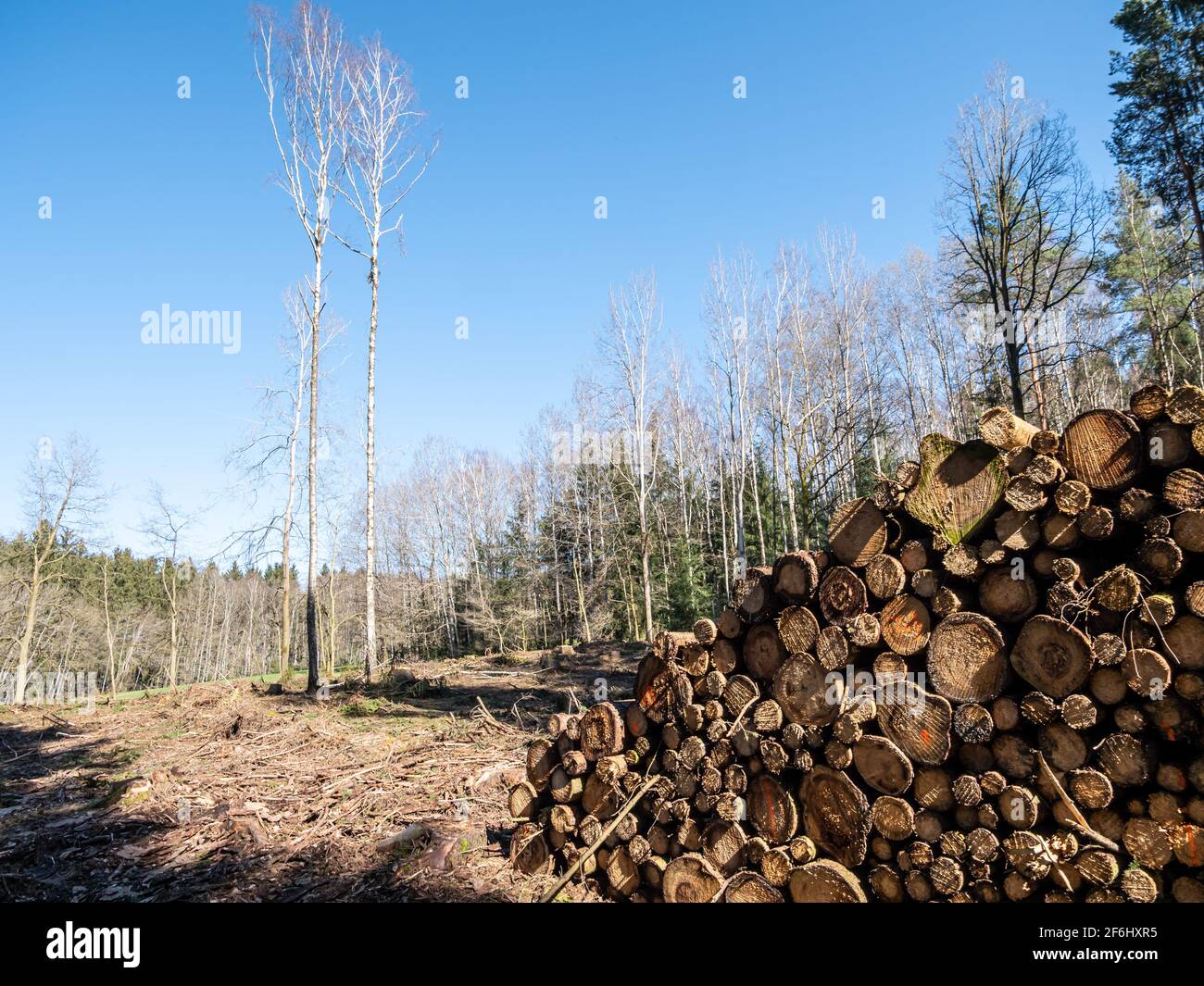 Pest infestation hi-res stock photography and images - Alamy