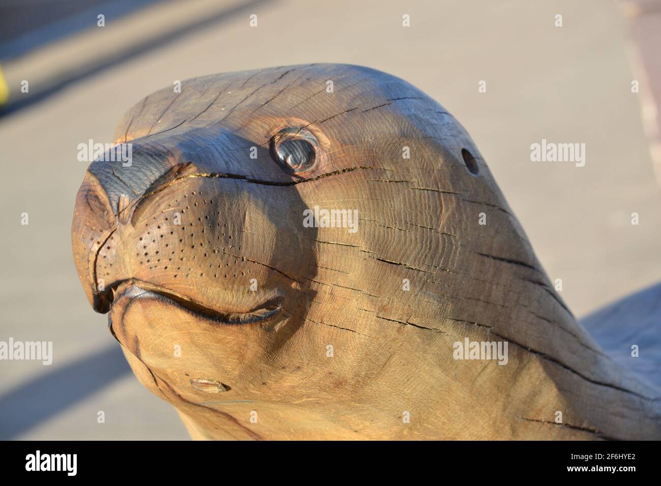 Carved Wooden Seal Head Statue On Filey Sea Front - Yorkshire - UK ...