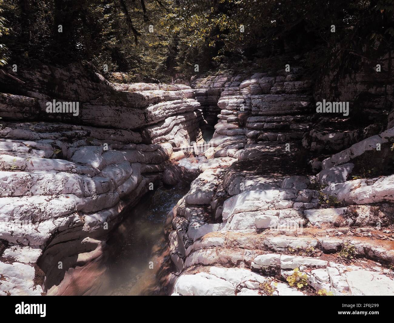 A narrow river flows between relief canyons surrounded by dense forest ...