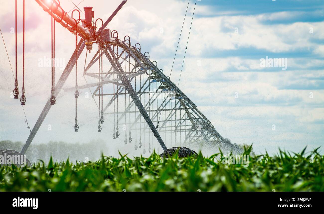 Watering system in the field. An irrigation pivot watering a field ...