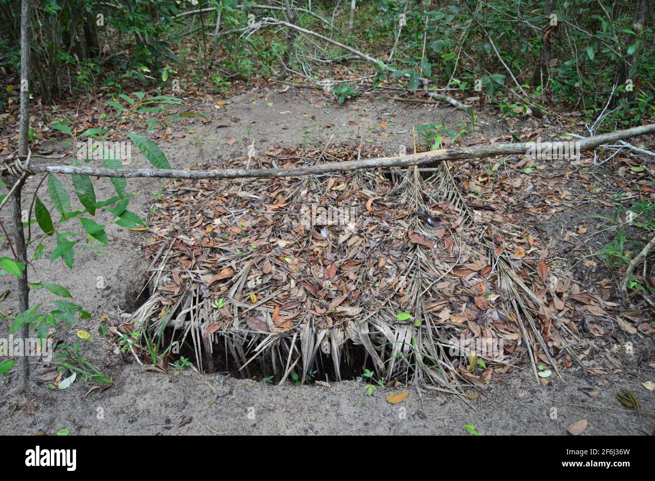 Animal trap hi-res stock photography and images - Alamy