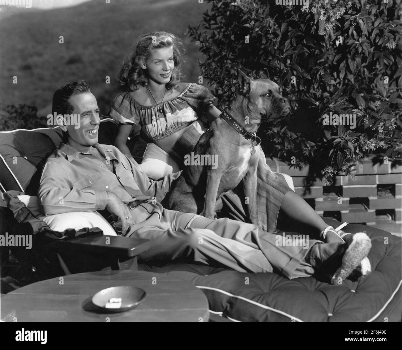 Lauren bacall humphrey bogart dog hi-res stock photography and images ...