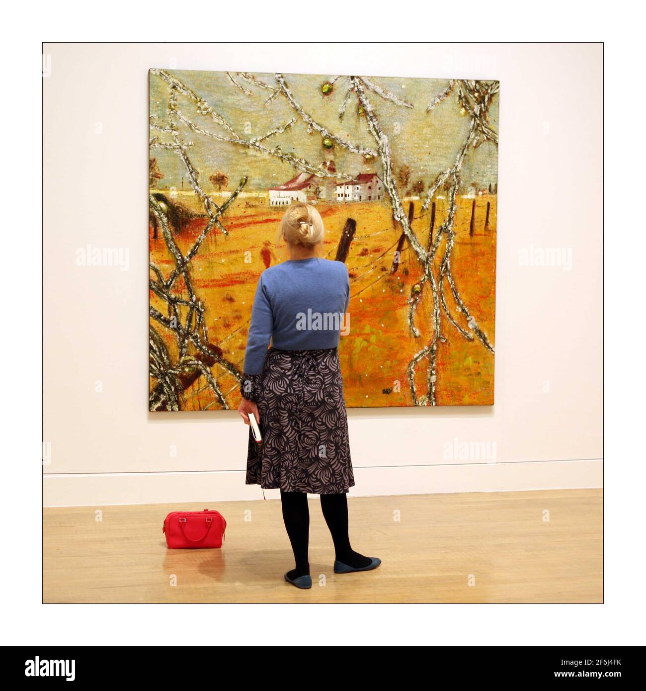 Doig Cut Out Stock Images & Pictures - Alamy