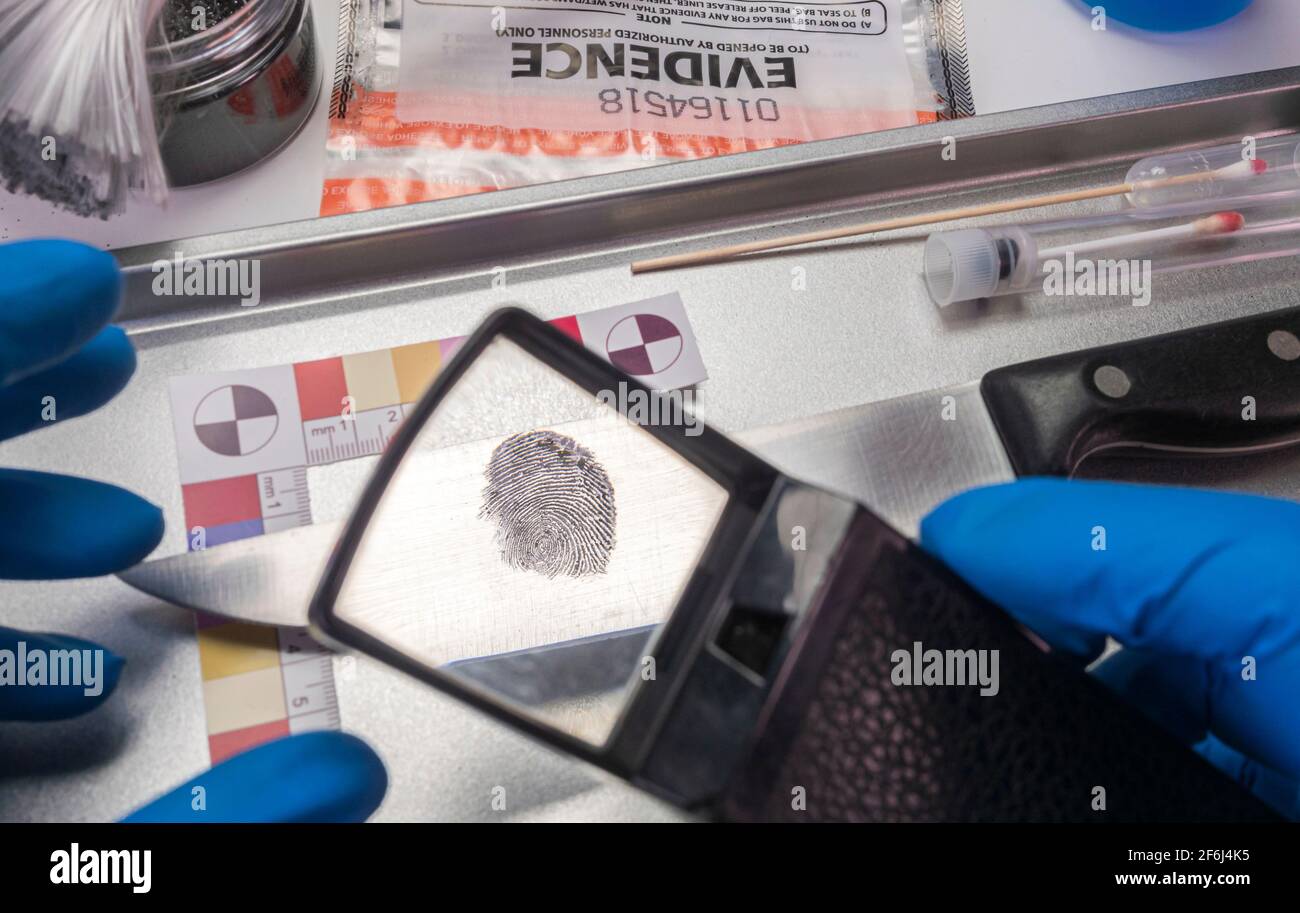 Fingerprint magnifier glass hi-res stock photography and images - Alamy