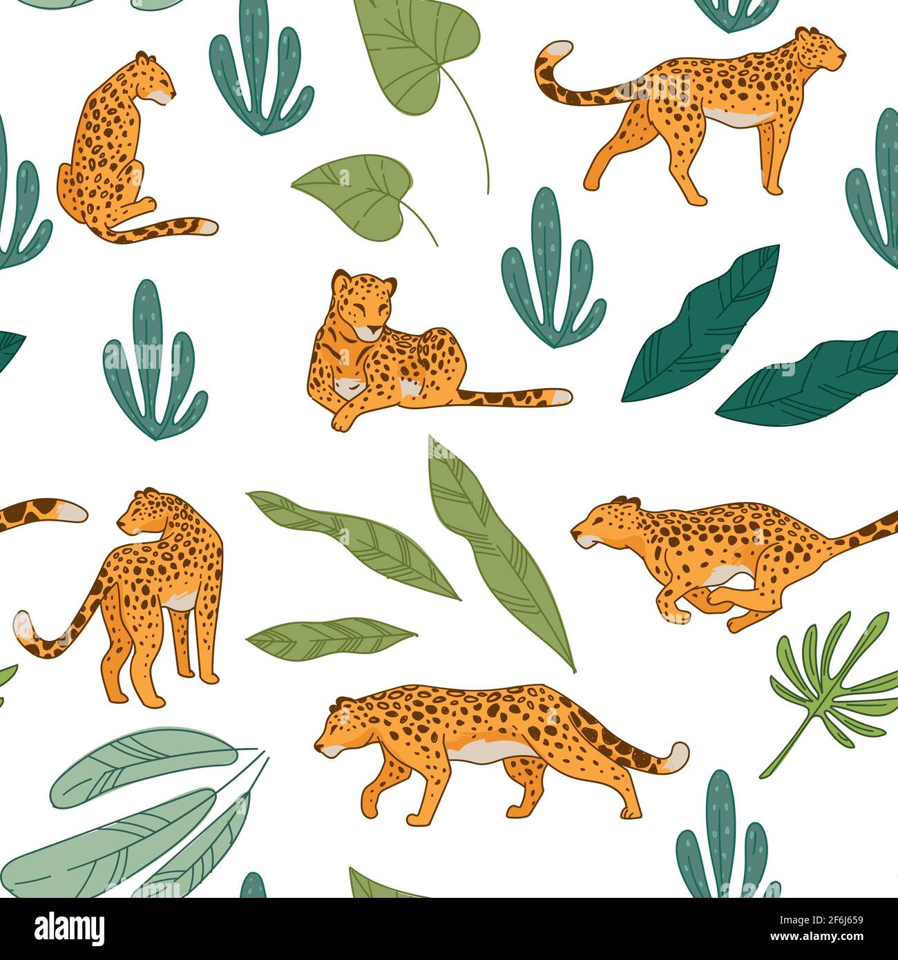 African leopards Stock Vector Images - Alamy