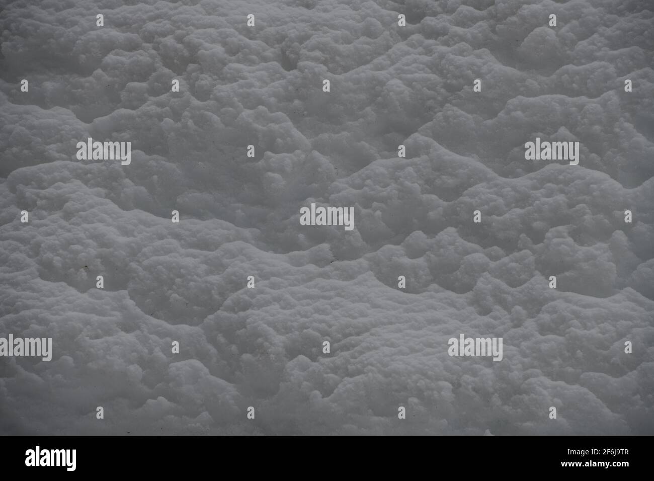 close up of freshly fallen snow on top of harder textured snow fluffy ...