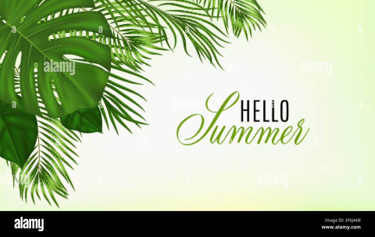 Summer tropical background with green palm leaves. Exotic botanical ...