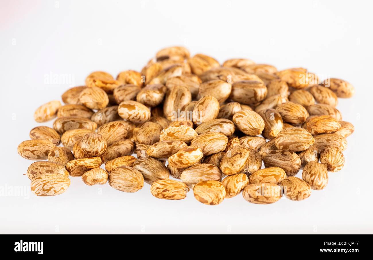 Castor seeds hi-res stock photography and images - Alamy