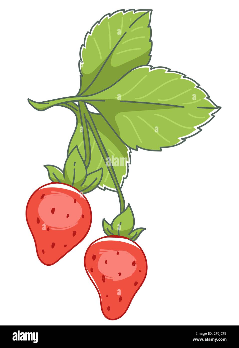 Strawberry field strawberry plantation Stock Vector Images - Alamy