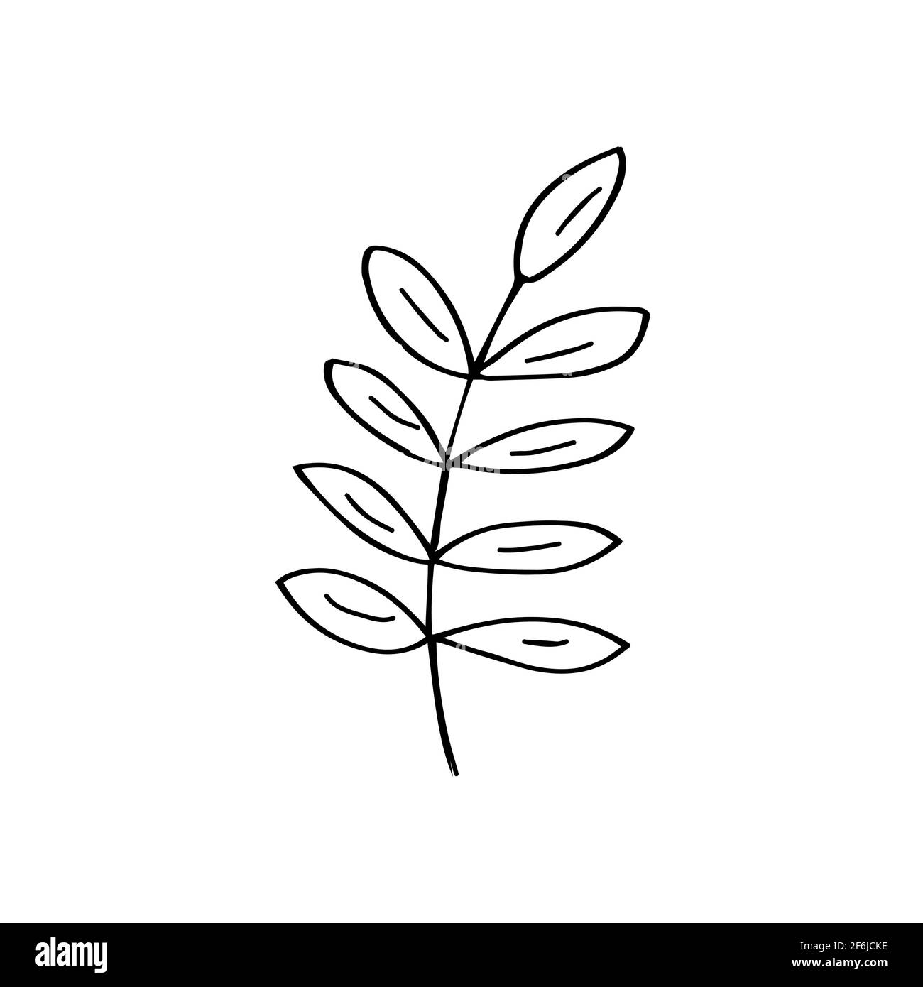 Sprig with leaves in doodle style. Black and white vector isolated ...