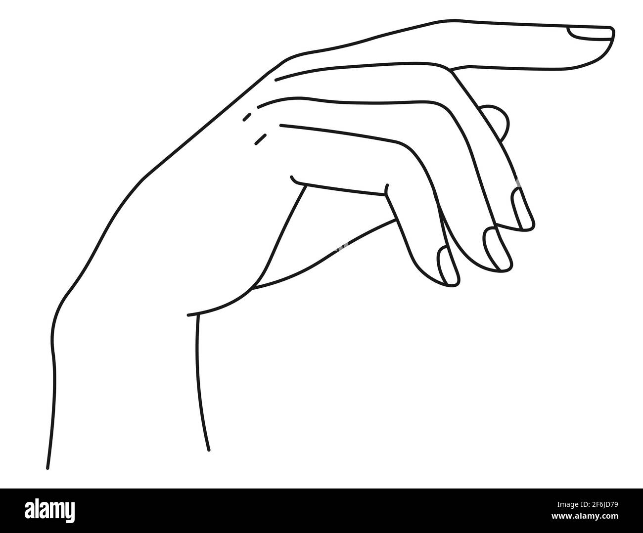 Minimalist palm Stock Vector Images - Alamy