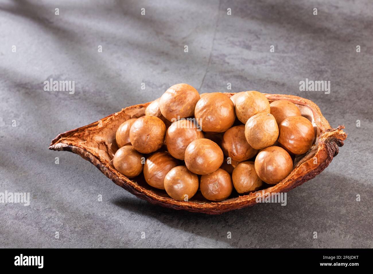 Organic macadamia nuts - Macadamia integrifolia Stock Photo - Alamy