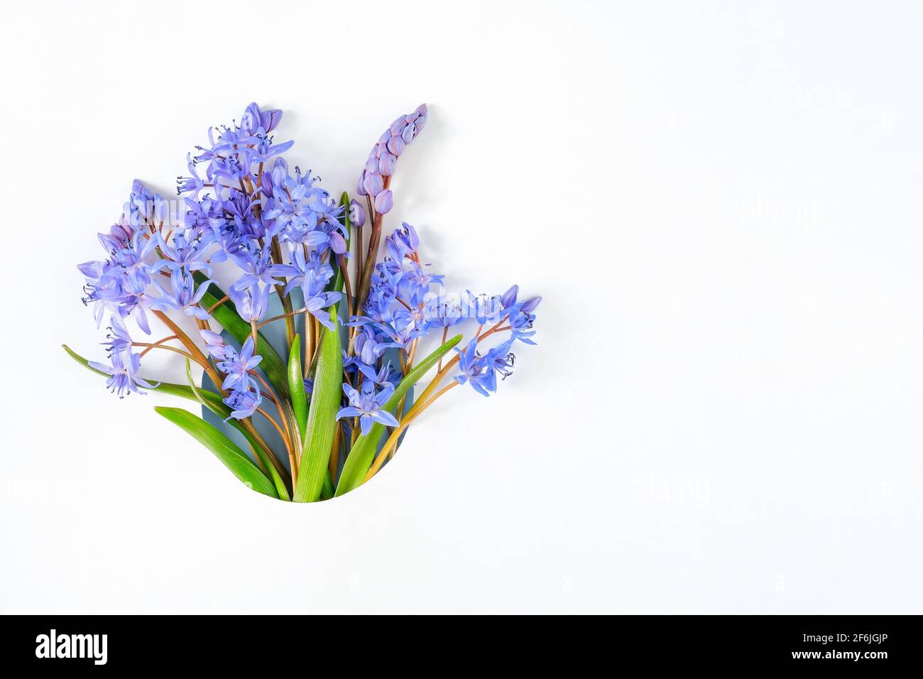 Frame border made with snowdrop flowers on white background Stock Photo ...