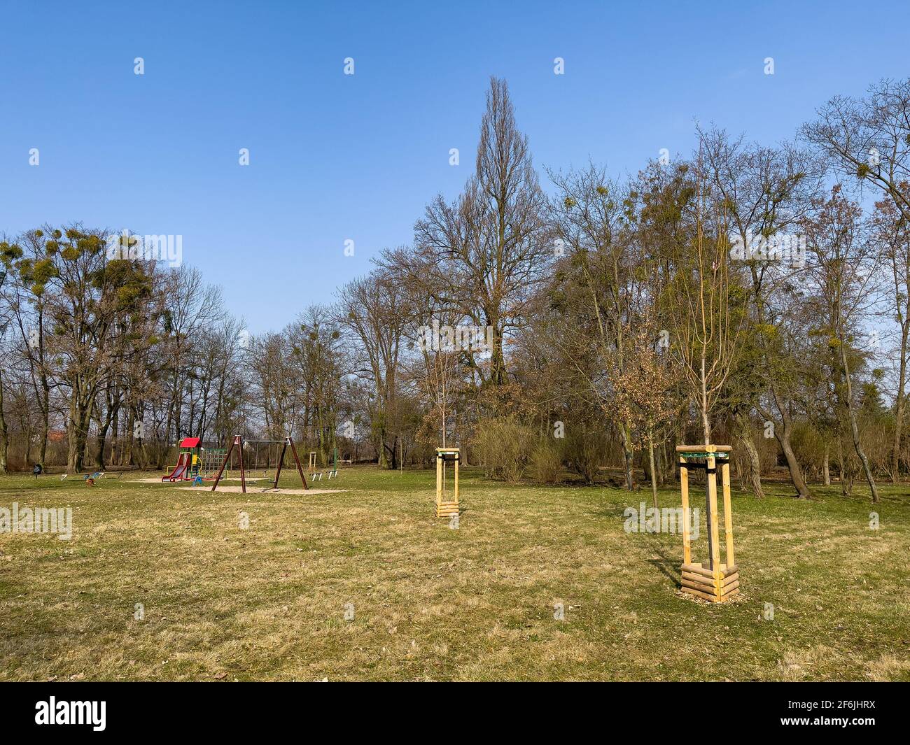 Planting trees in public city park at spring, concept of ecology and ...