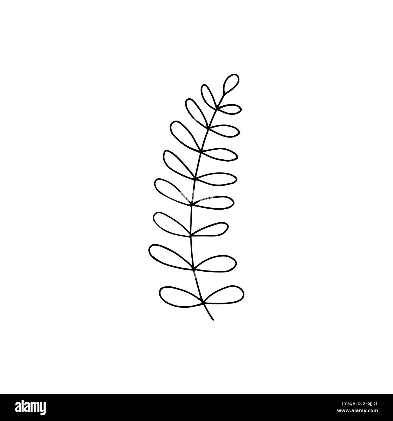 Sprig with leaves in doodle style. Black and white vector isolated ...