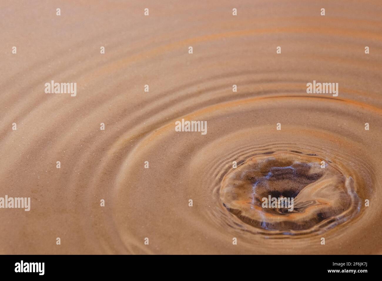 A splash and ripples on the water beneath which is a smooth sandy ...