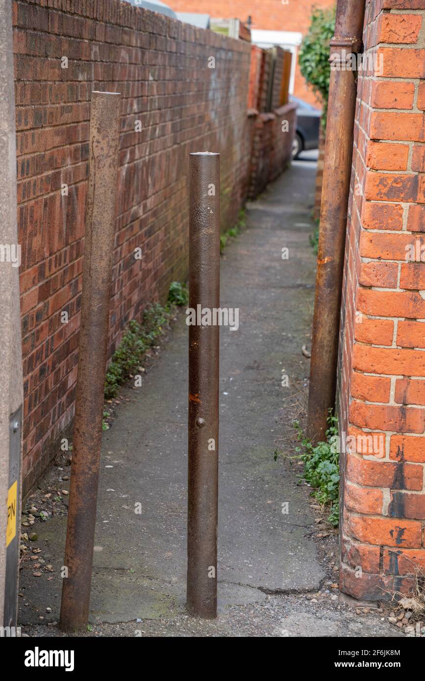 Alley between hedges hi-res stock photography and images - Alamy