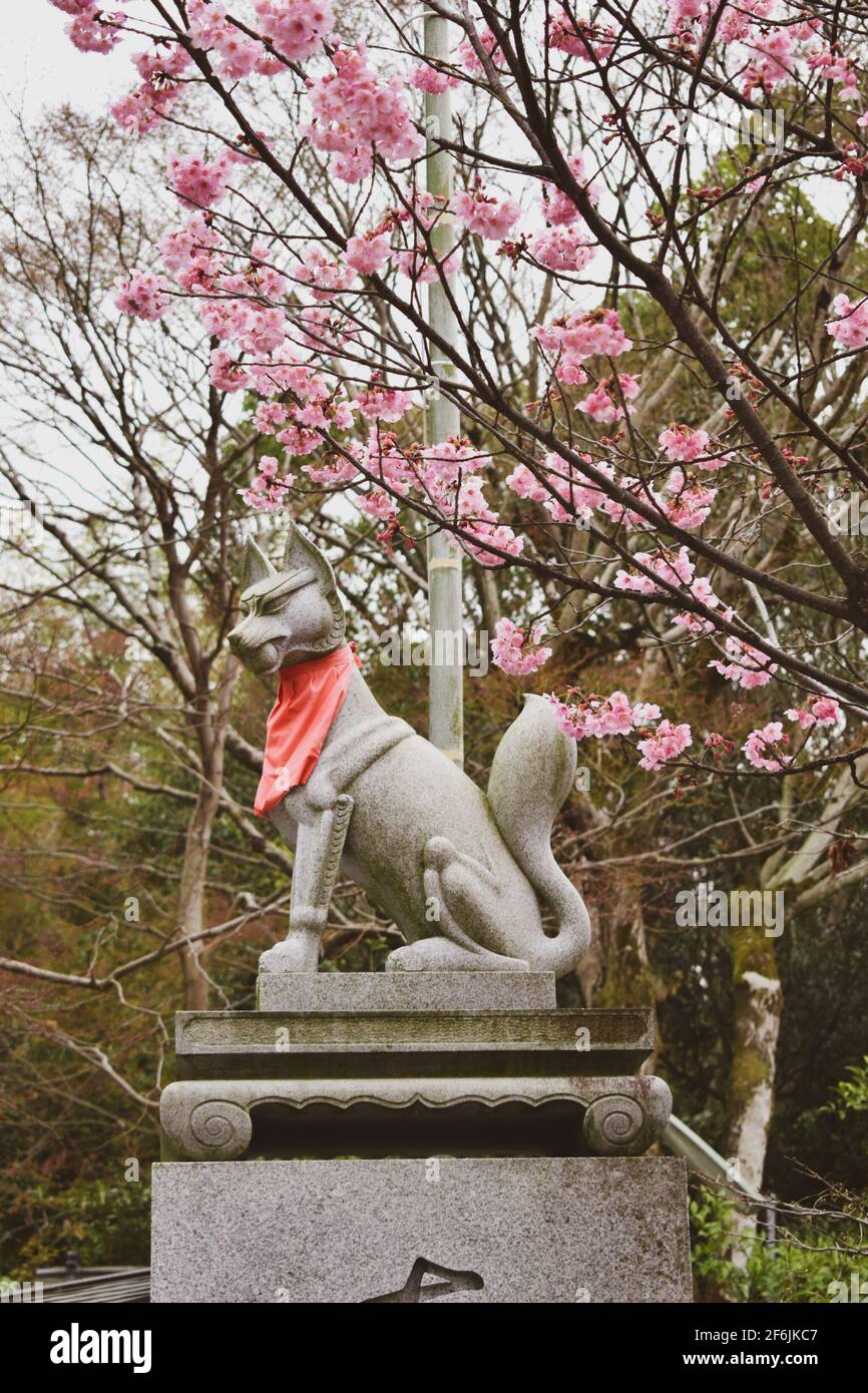 Kyoto, Japan - March 30th 2019; Hundreds of stone foxes are holy ...