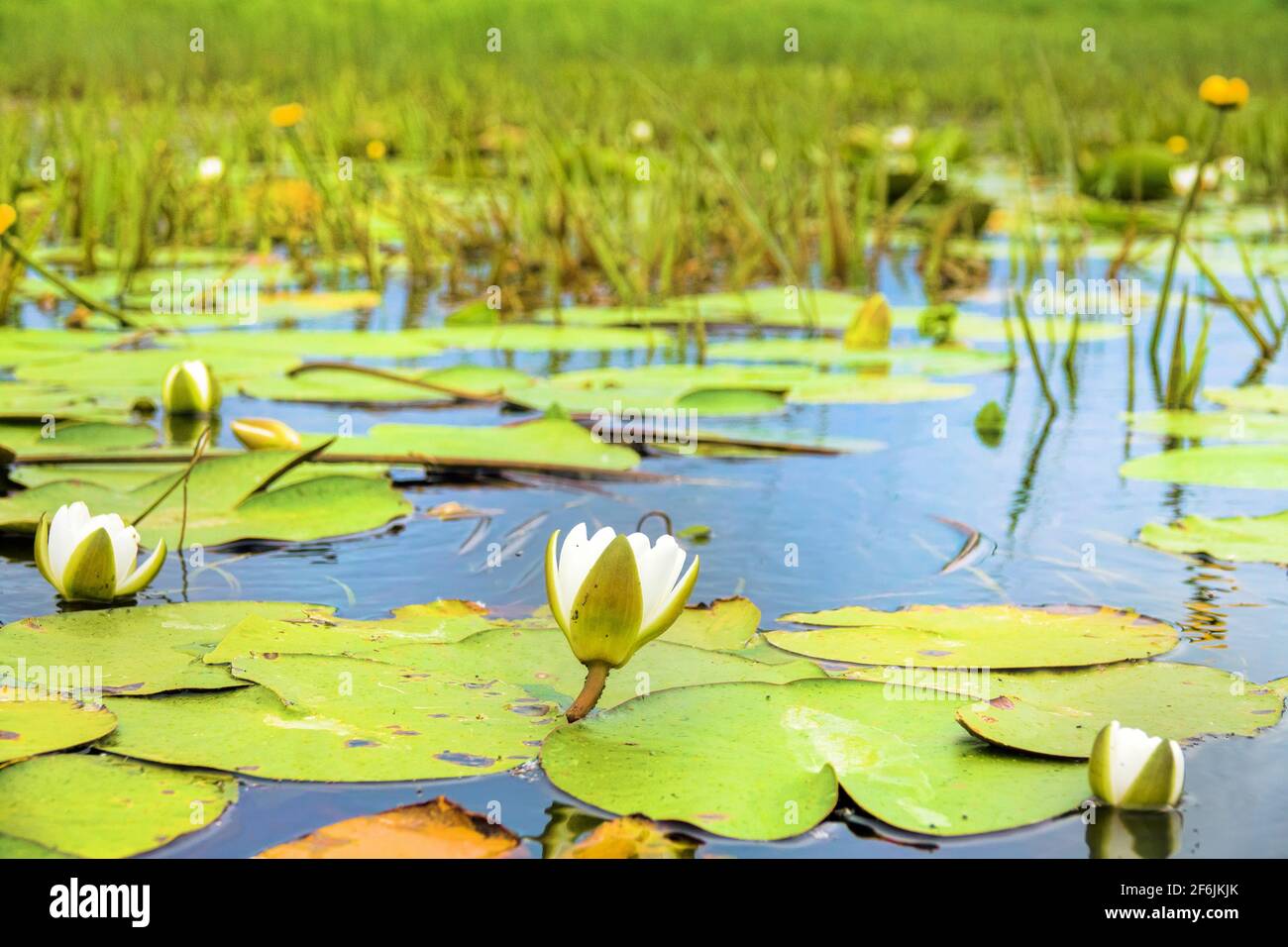 Silting yellow river hi-res stock photography and images - Alamy