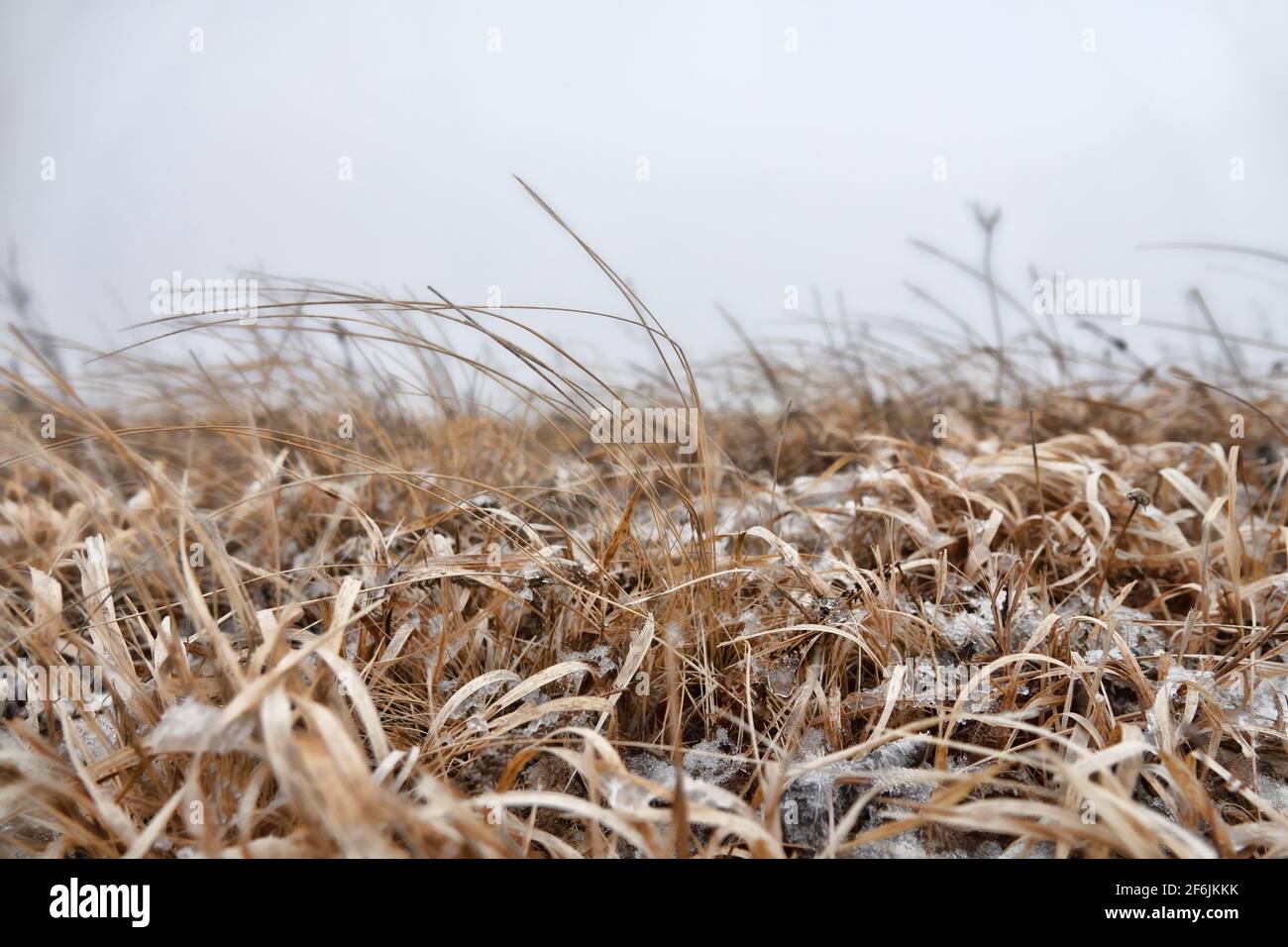 Snow prairie fog hi-res stock photography and images - Alamy