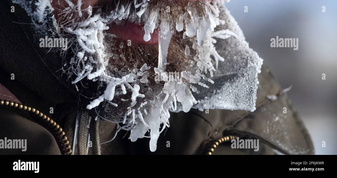 Extremely severe frosts cover people with icicles. Cold weather and ...