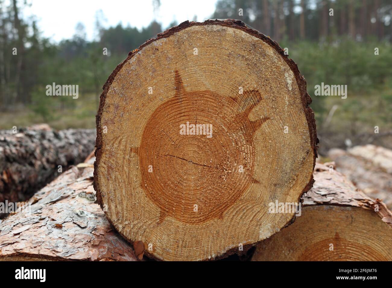 Log in details hi-res stock photography and images - Alamy