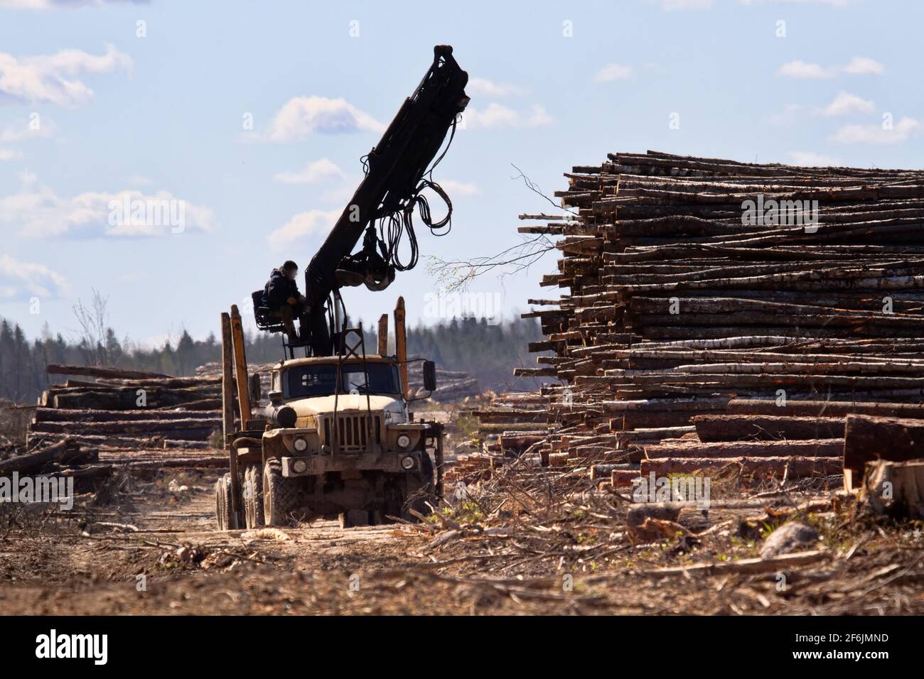 Forest industry. Operations for loading-unloading logging truck at ...