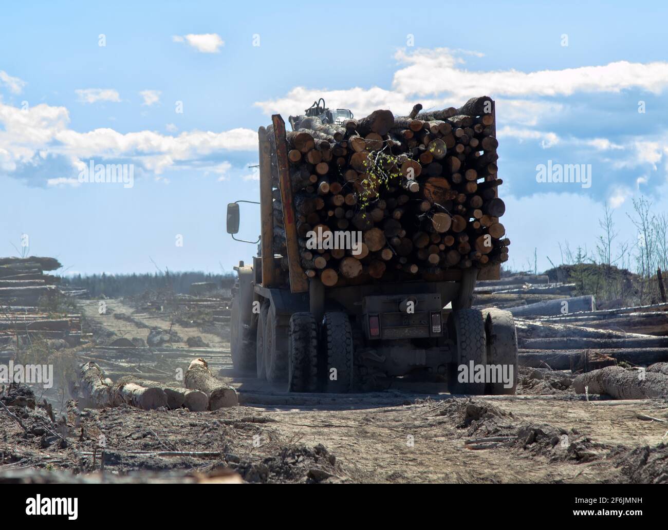 Tree length timber truck hi-res stock photography and images - Alamy