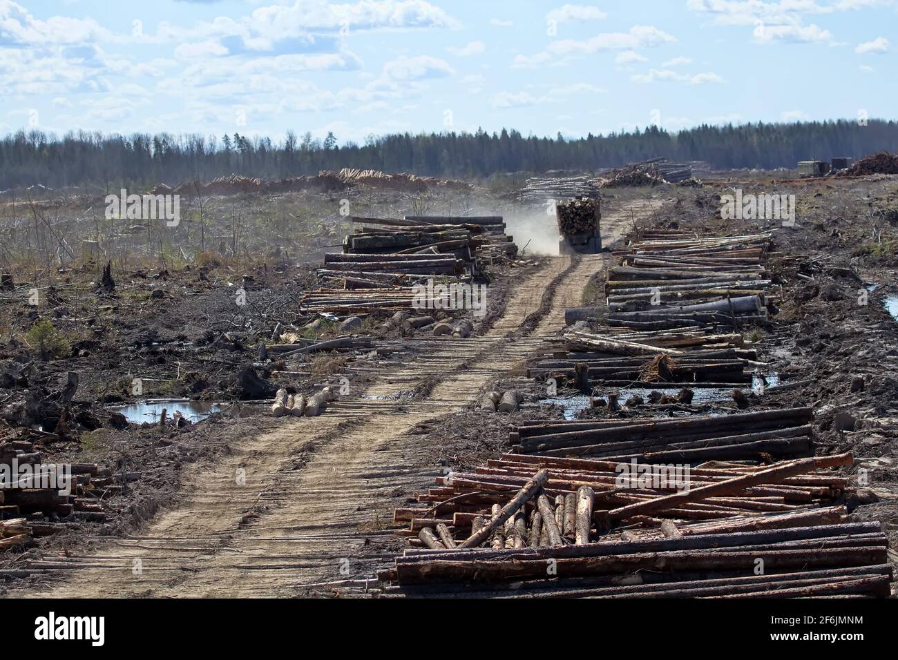 Forest industry. Operations for loading-unloading logging truck at ...