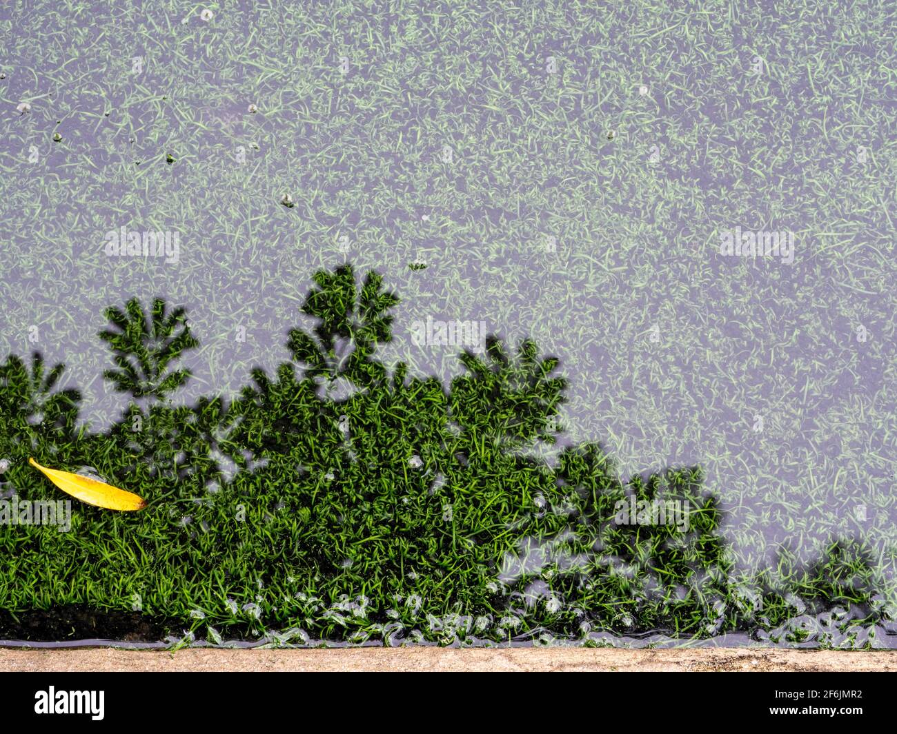 Soccer field deluge hi-res stock photography and images - Alamy