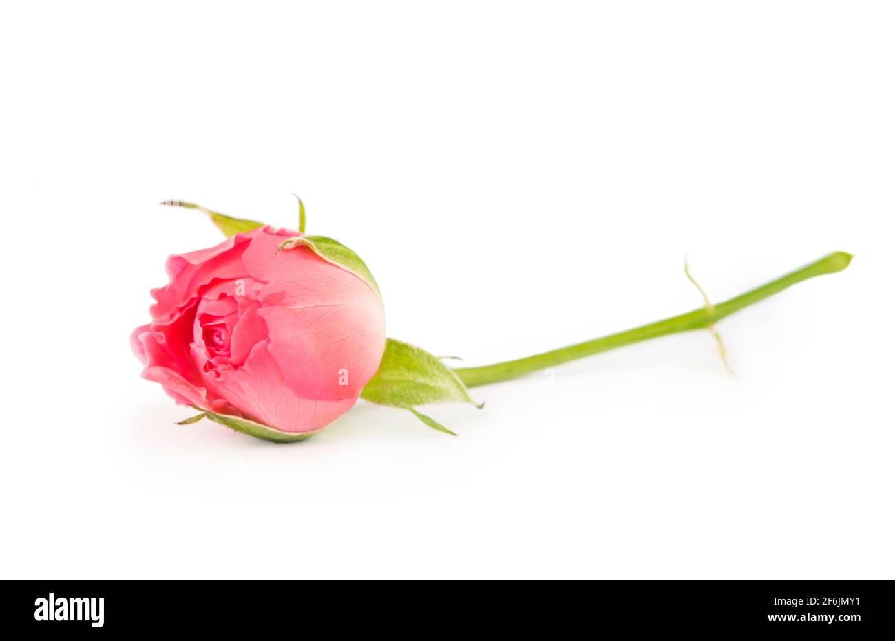 Fish shape Cod Liver Oil Capsules, Omega 3, Vitamin D Stock Photo - Alamy