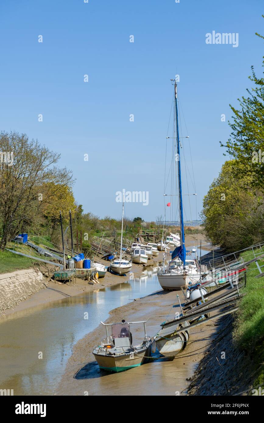 Medoc france river hi-res stock photography and images - Alamy
