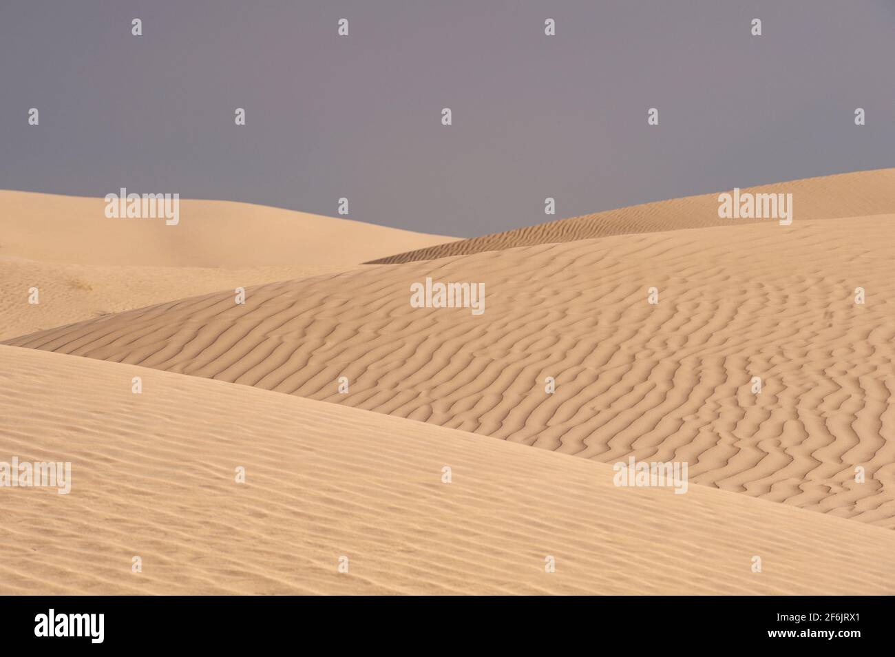 Digital desert hi-res stock photography and images - Alamy