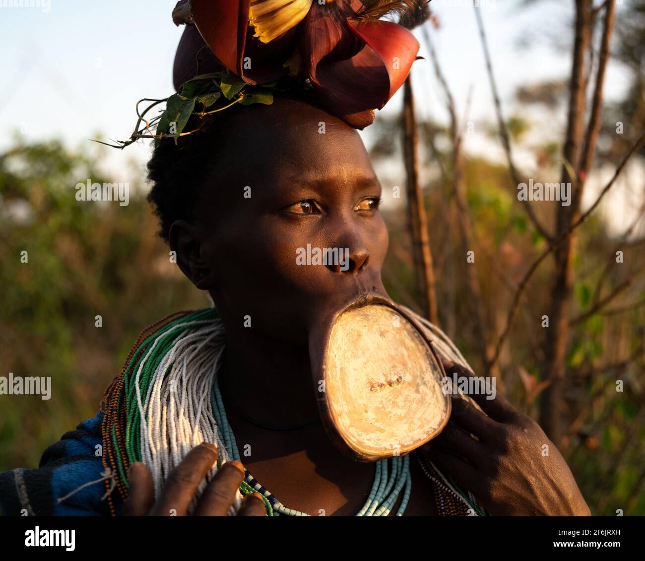 Lip plates begin as a small clay peg before reaching sizes of up to 16 ...