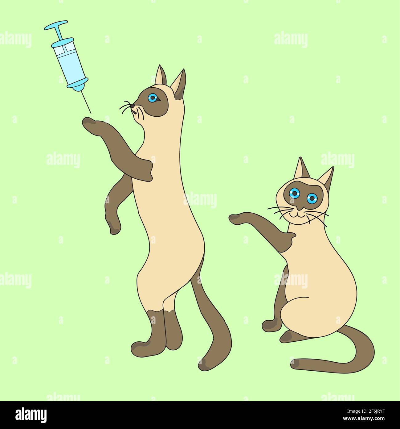 Animal vaccine testing. Injection with virus. Research into the effects ...