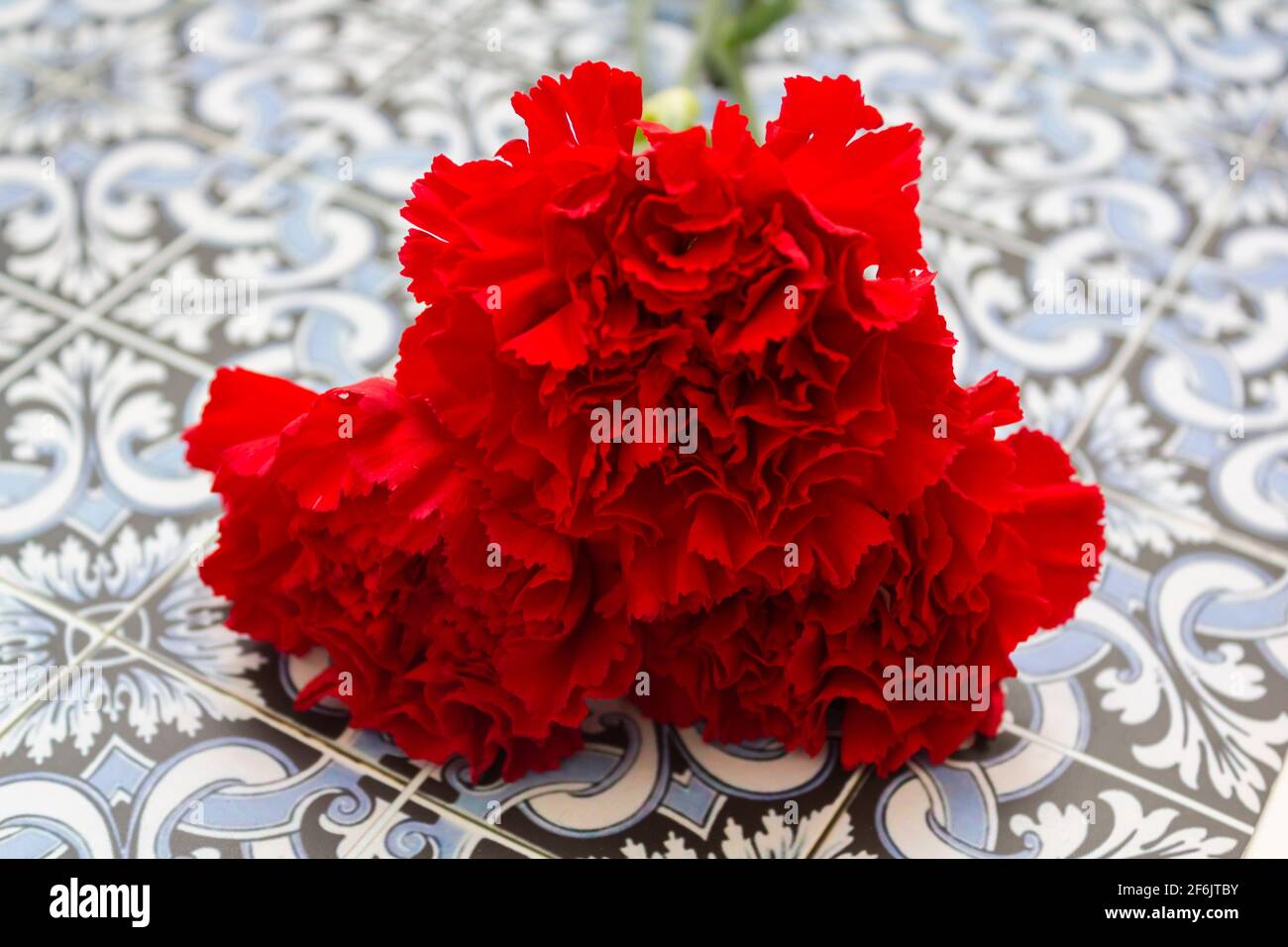 Carnation revolution abril 1974 hi-res stock photography and images - Alamy