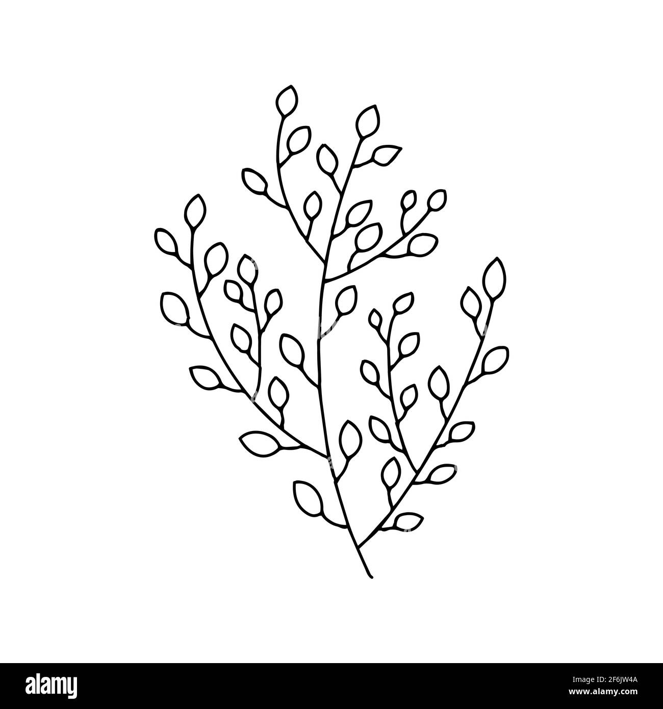 Sprig with leaves in doodle style. Black and white vector isolated ...