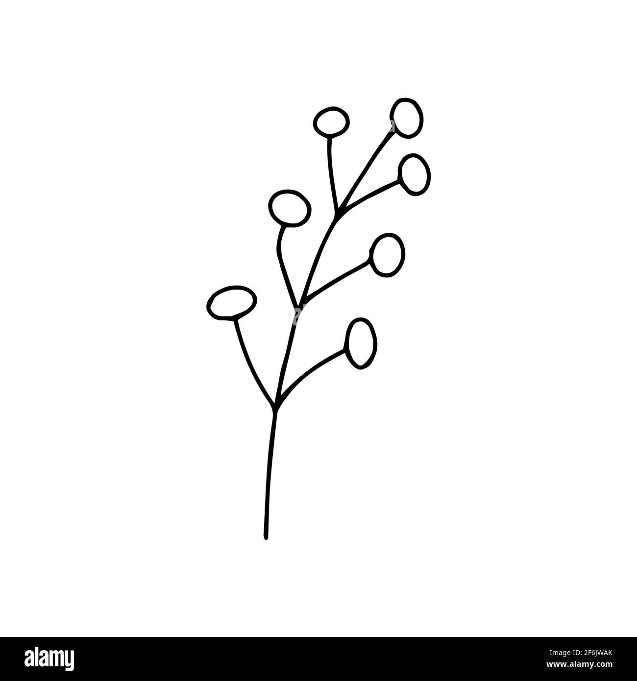 Sprig with berries in doodle style. Black and white vector isolated ...