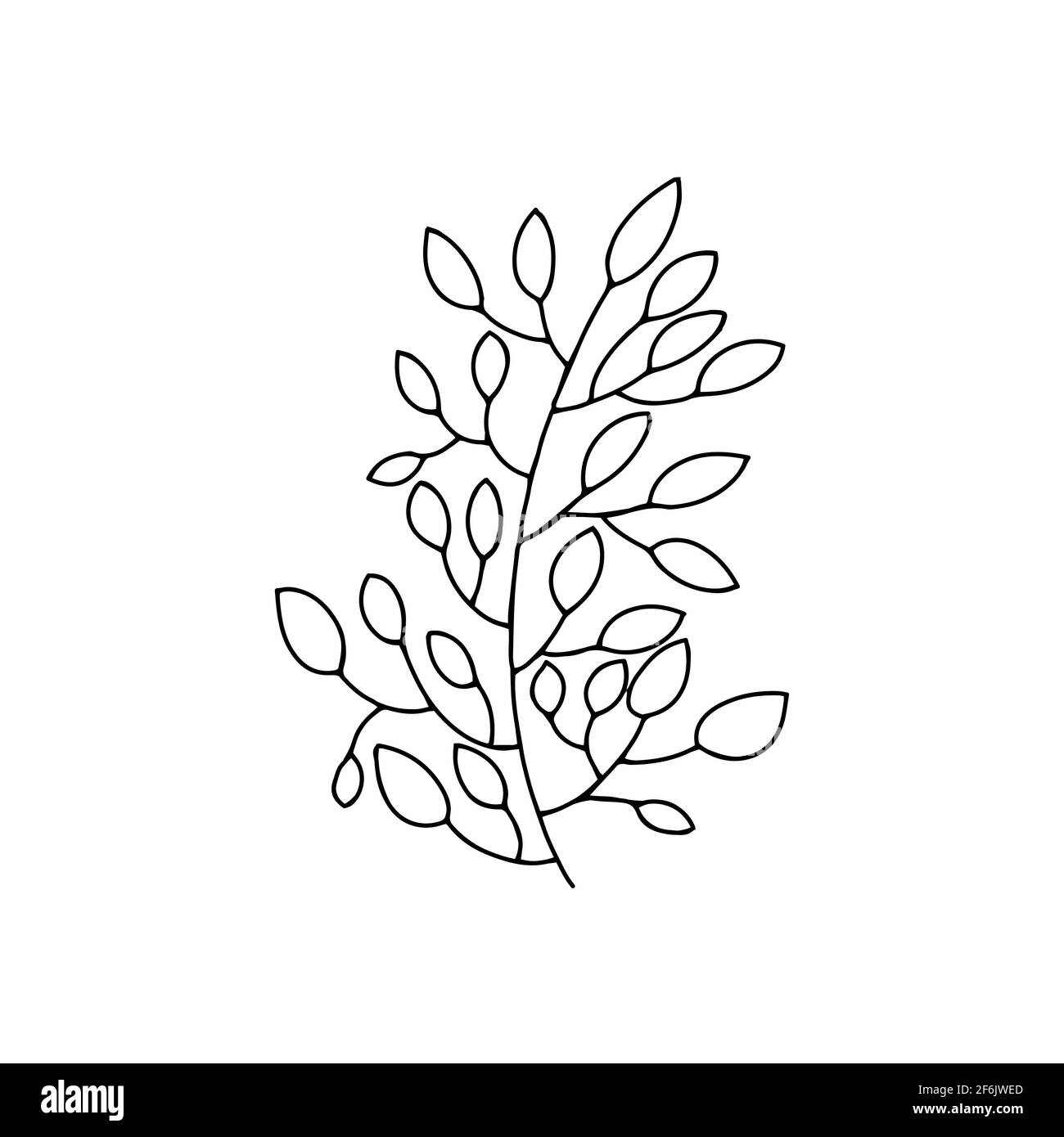 Sprig with leaves in doodle style. Black and white vector isolated ...