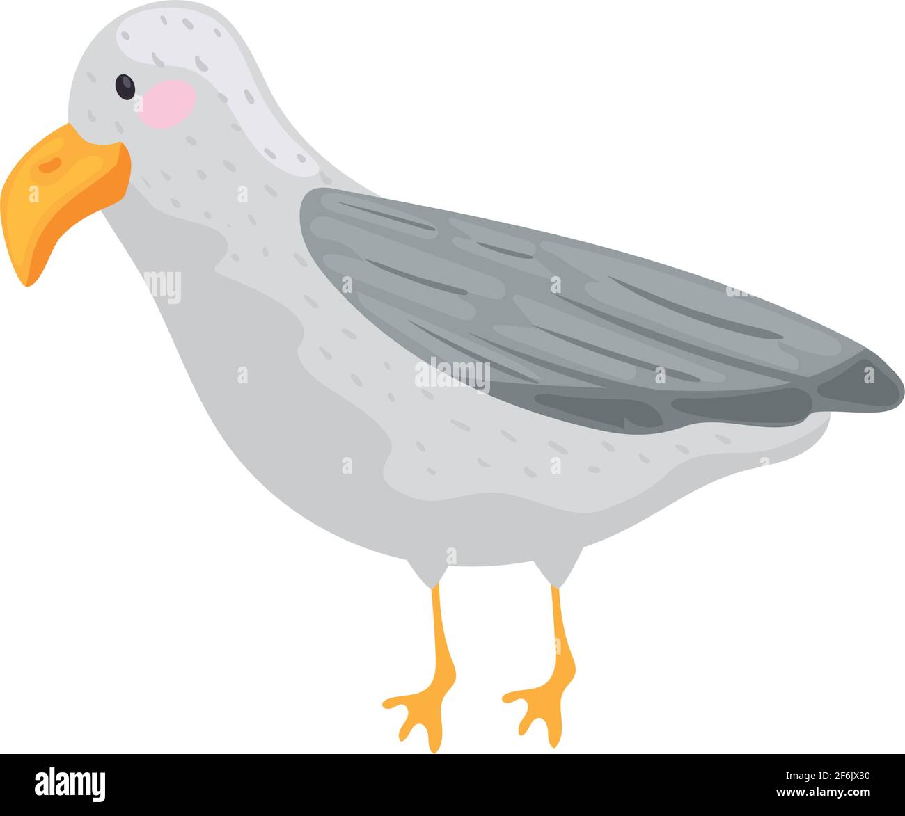 Baby seagull Cut Out Stock Images & Pictures - Alamy