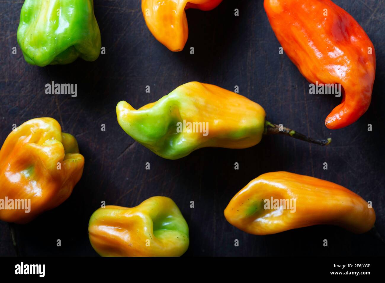 Green capsicum chinense chili hi-res stock photography and images - Alamy
