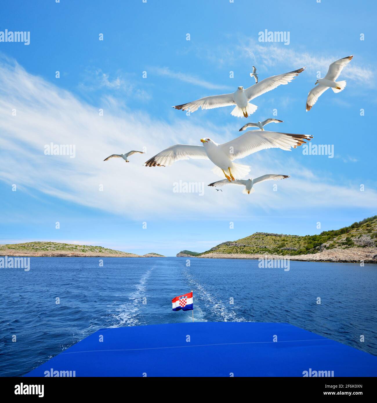 A flock of seagull flying behind a cruise ship in Kornati National Park ...