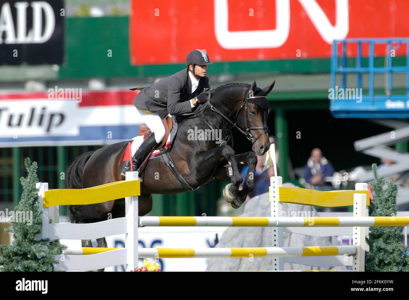 Bay oxer showjumping jump hi-res stock photography and images - Alamy