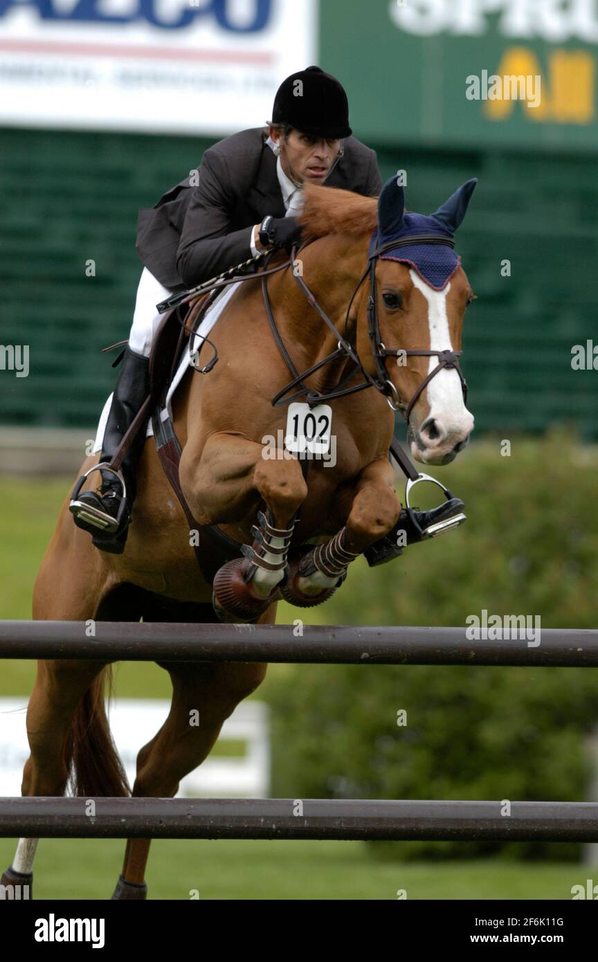 Rex horse hi-res stock photography and images - Alamy