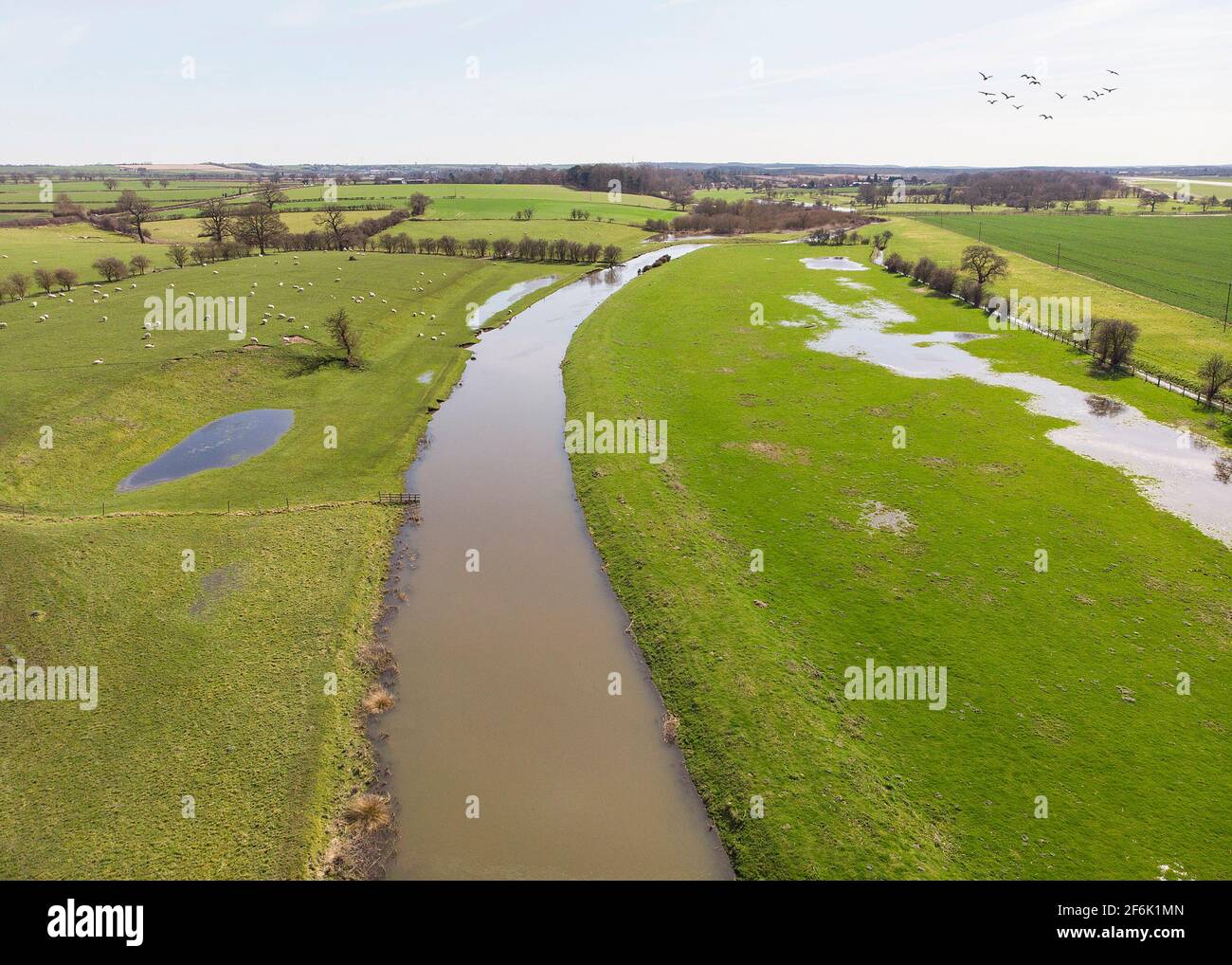 River Idle at Eaton Near Retford Stock Photo - Alamy