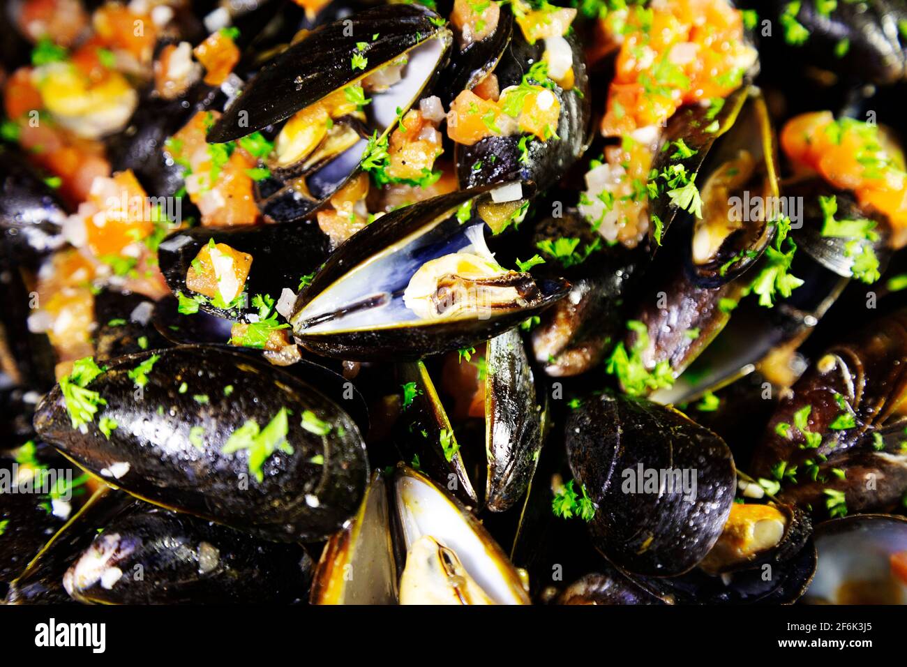Steamed mussels served in Nova Scotia, Halifax, Canada. Fresh seafood ...